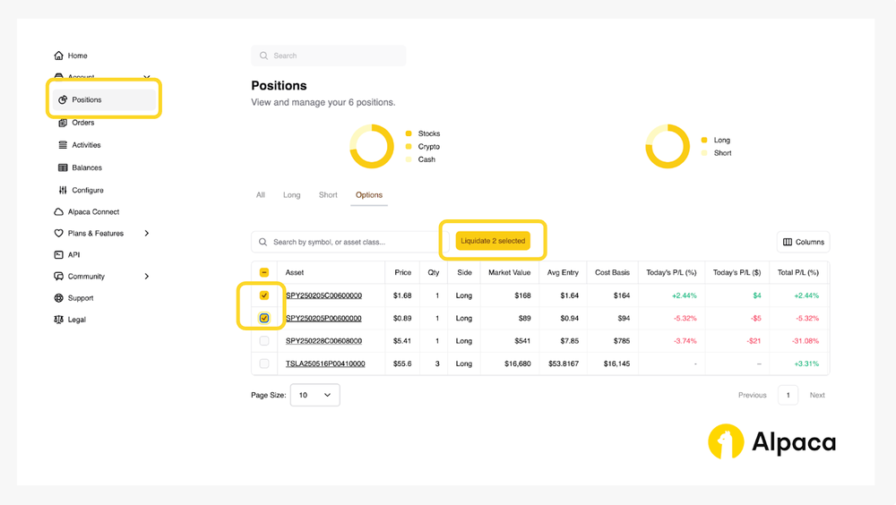 How To Trade Options with Alpaca's Dashboard and Trading API