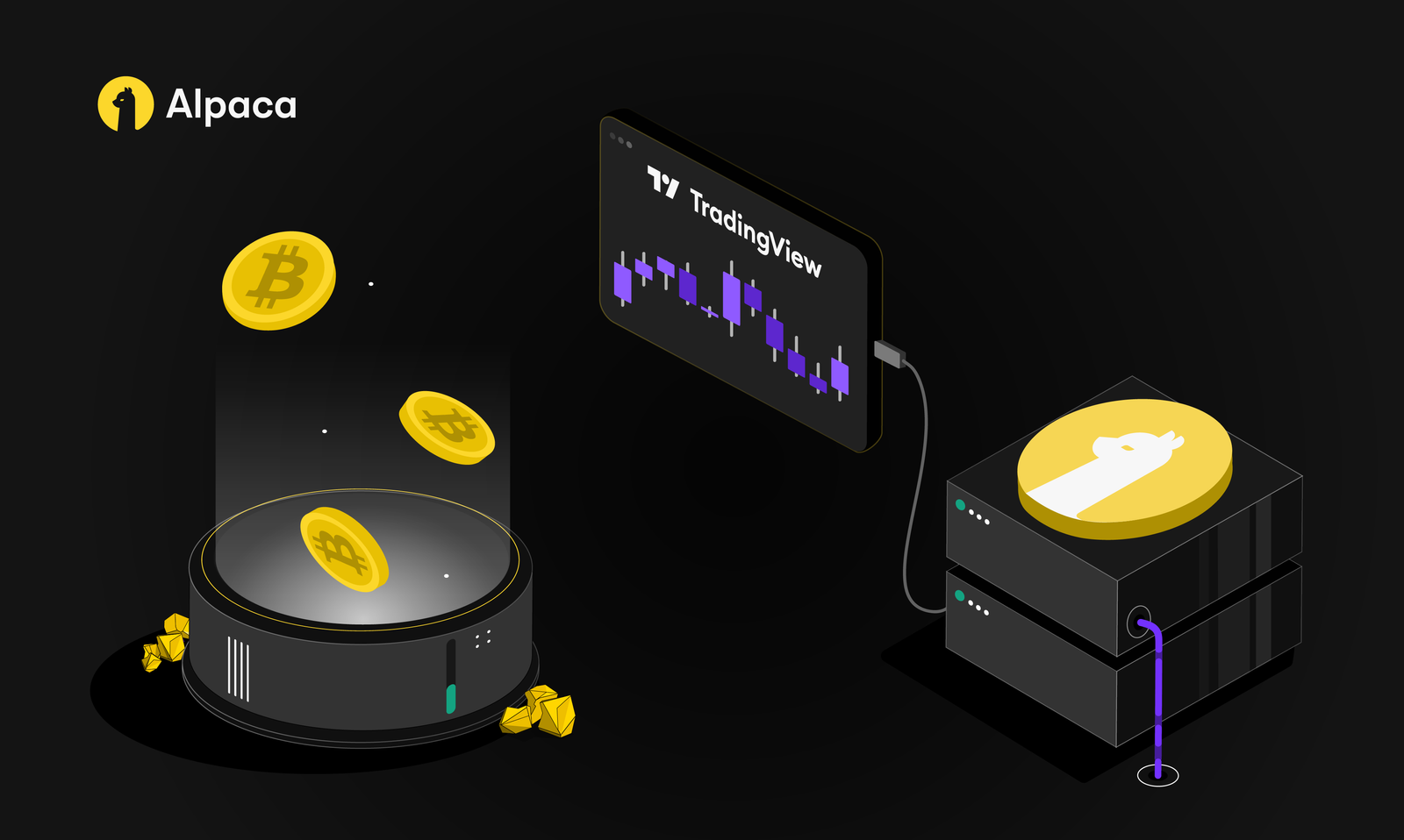 How to Trade BTC/USD on Alpaca and TradingView