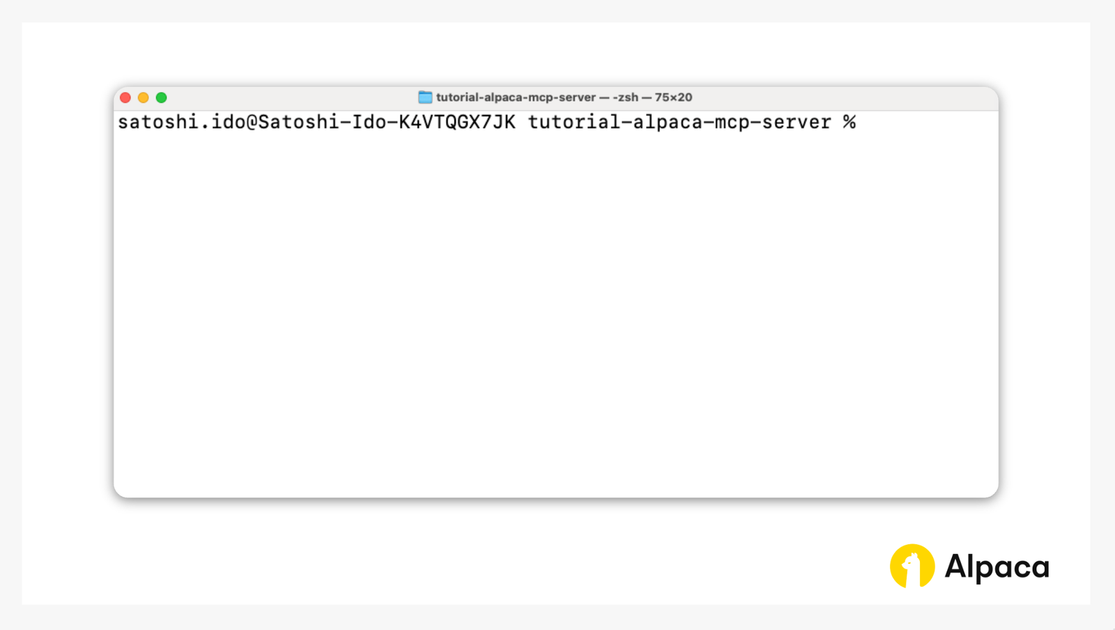Vibe Coding: Build Option Algos with Alpaca & Cursor